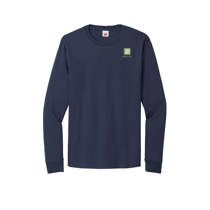 Hanes Essential-T 100 Cotton Long Sleeve T-Shirt 5286 | Batson Associates